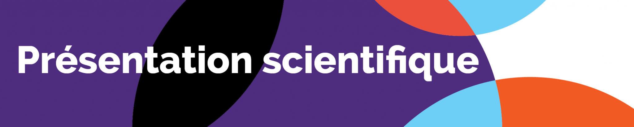 ST 12 | Association Française de Science Politique